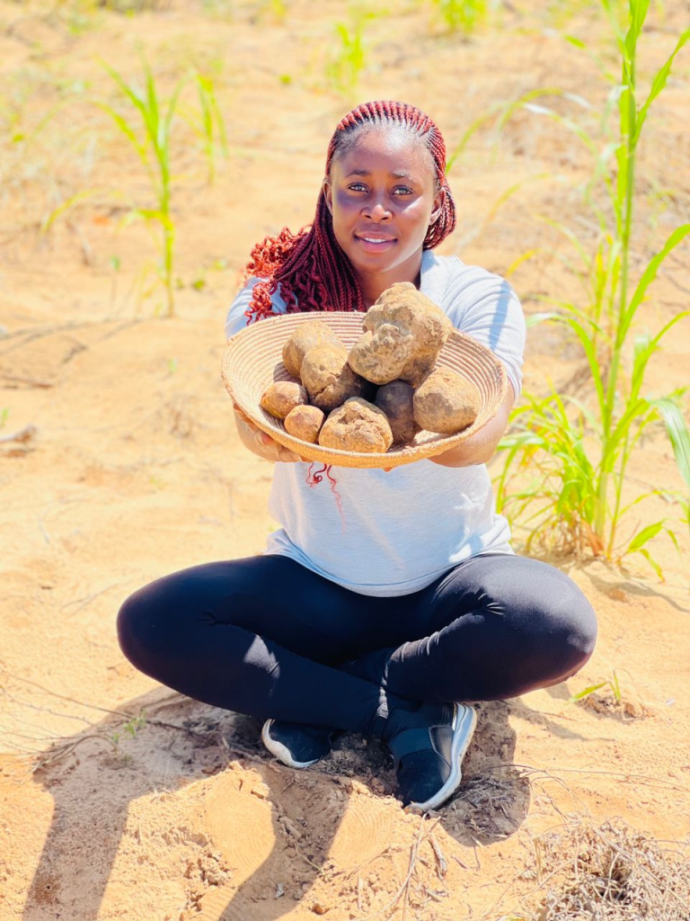 Kalahari Truffles – Where Rain Meets Opportunity – Emerging Namibia